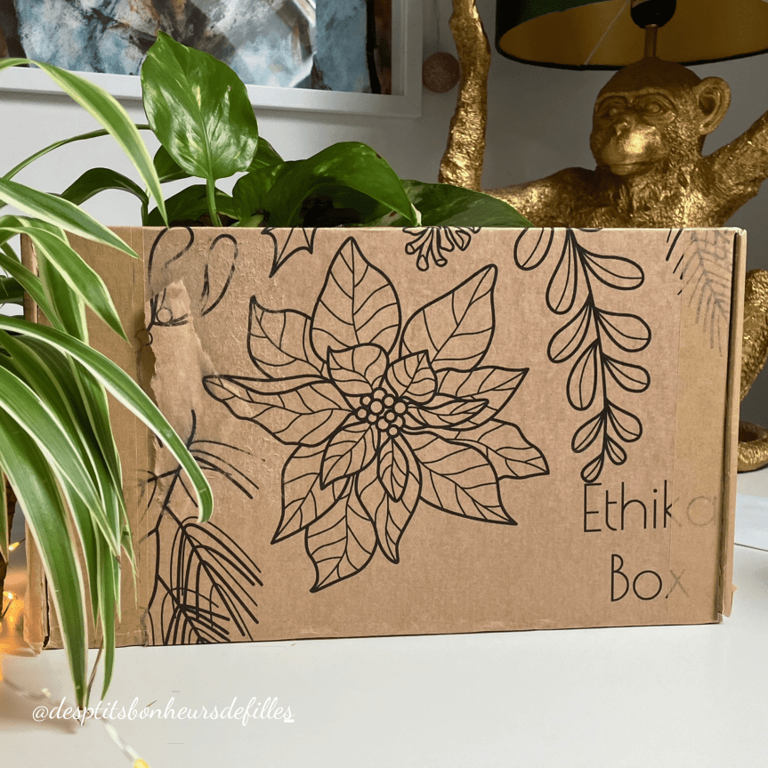 Ethika Box la box (vraiment) écolo, éthique et engagée – Des p'tits ...